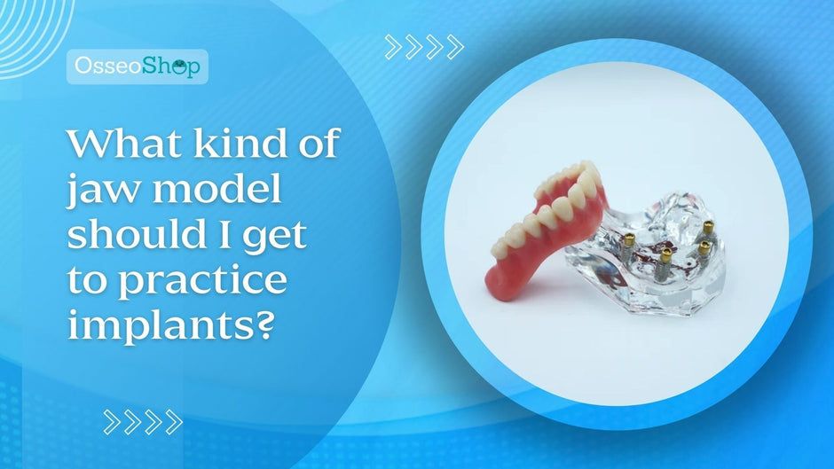 What kind of jaw model should I get to practice implants?