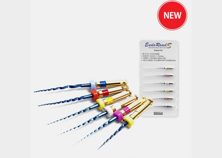 Root canal Repair EndoCem MTA & EndoSeal Premix MTA