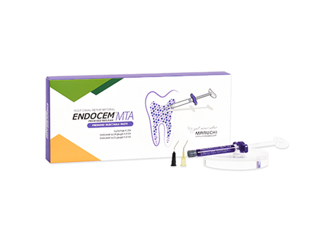 Root canal Repair EndoCem MTA & EndoSeal Premix MTA